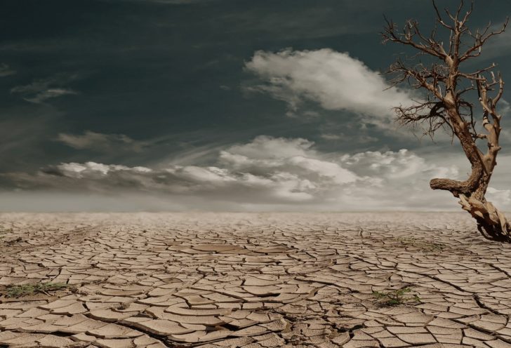 10 fascinating facts about the Permian period – the end of