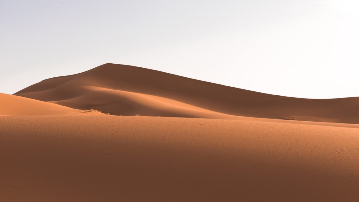 10 fascinating facts about the Permian period – the end of