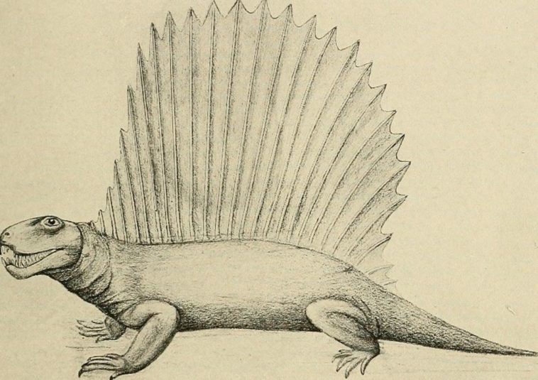 10 fascinating facts about the Permian period – the end of