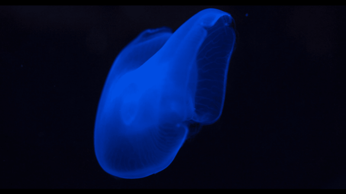 Editorial: The Air You Breathe